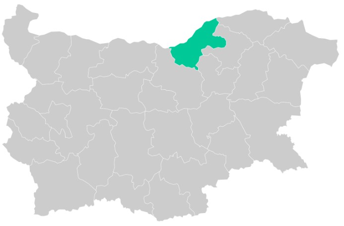 Maps - Vue.js Examples